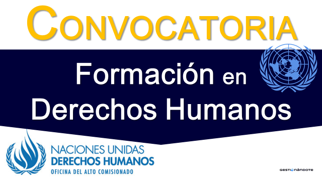 Fellowship en Derechos Humanos - Naciones Unidas ACNUDH