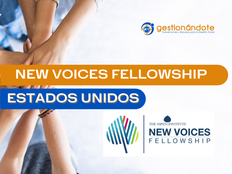 Becas En Ee Uu Para Profesionales En Desarrollo Global New Voices
