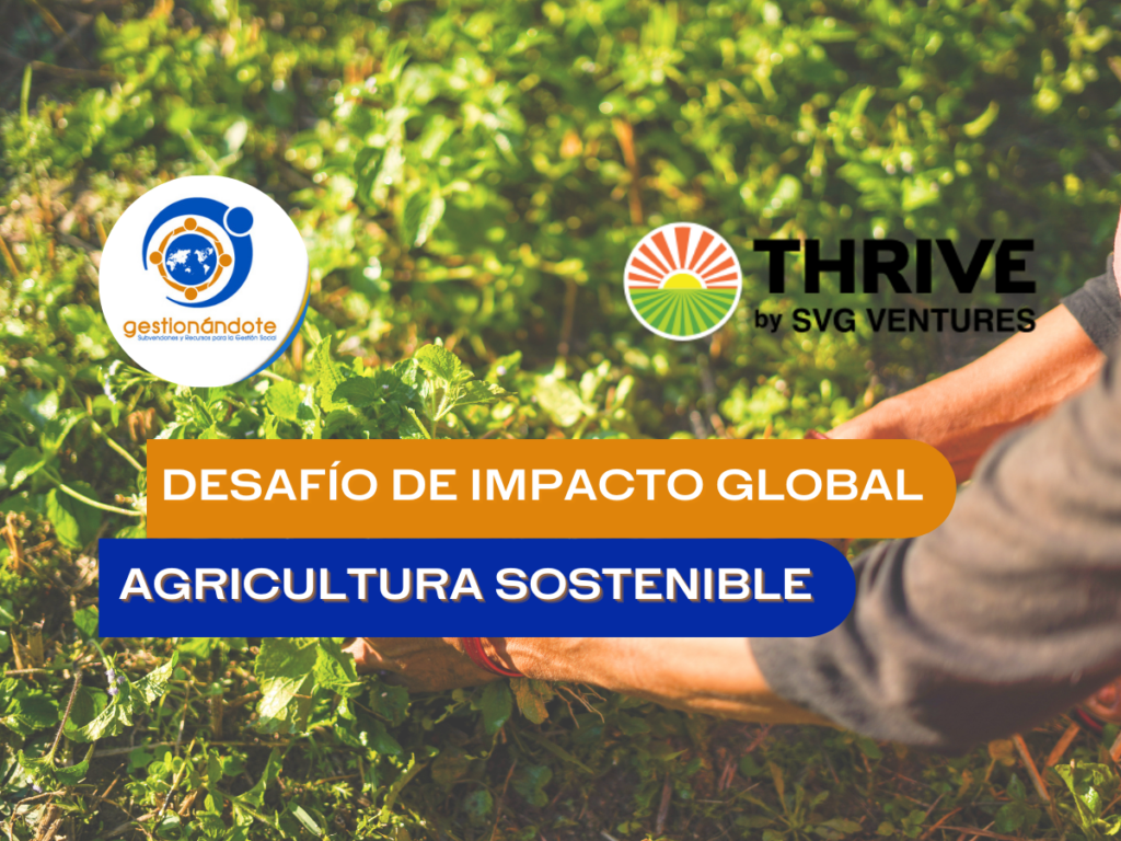THRIVE Global Impact Challenge – agricultura sostenible